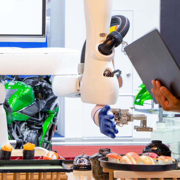 Replacing Human Labor in Industry